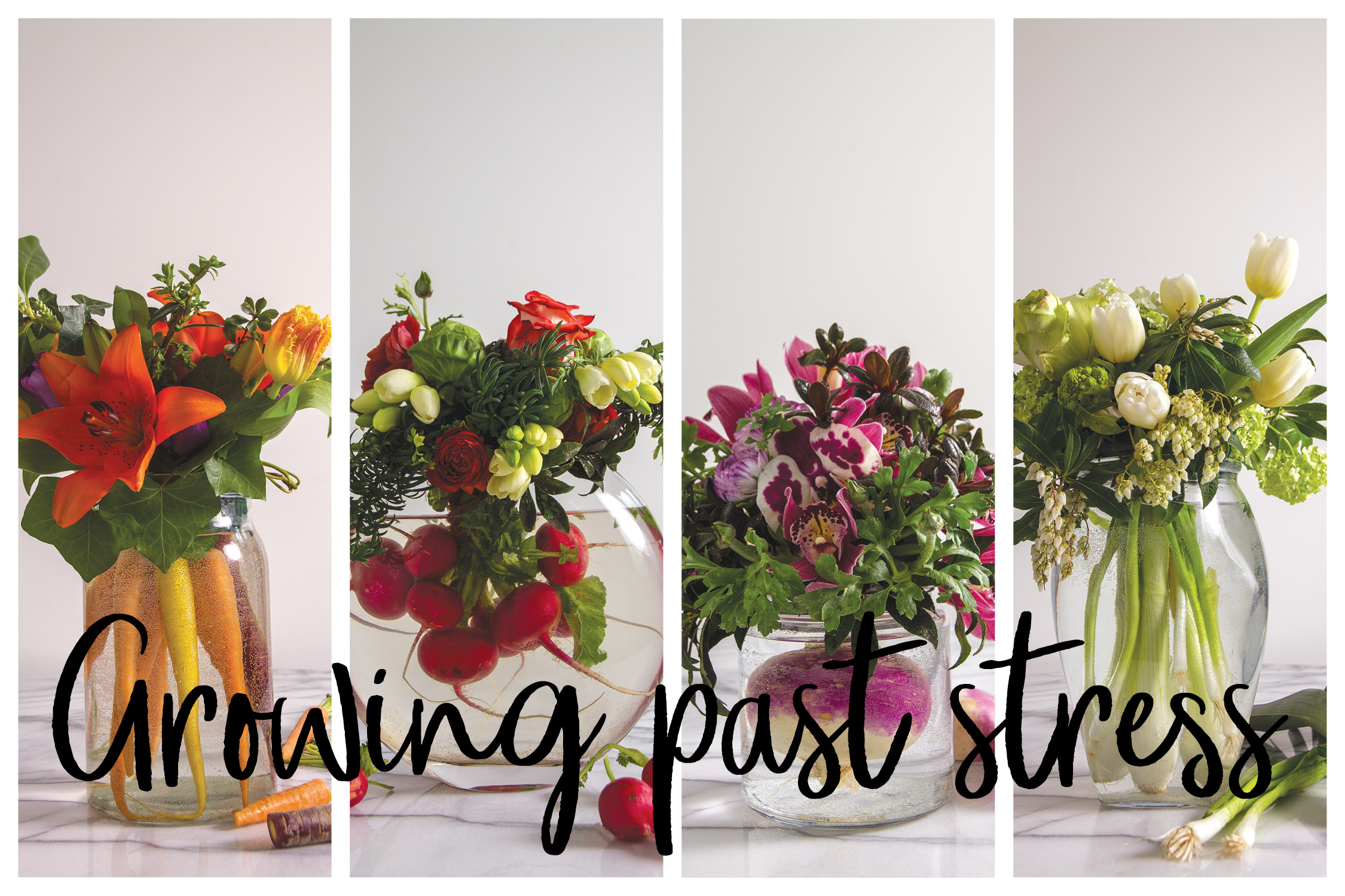 Growing past stress - Delicious Living