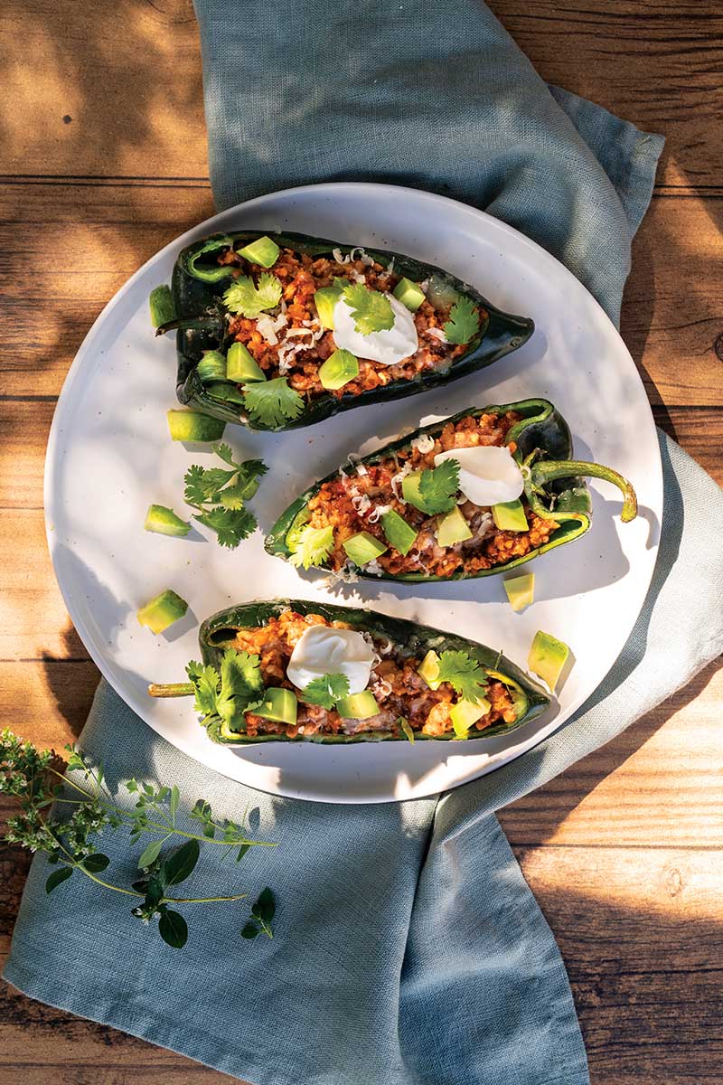 Turkey Enchilada Stuffed Poblano Peppers - Delicious Living