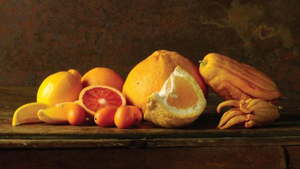 5 must-try exotic citrus fruits - Delicious Living