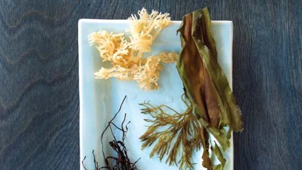 4 nutrient-rich sea vegetables - Delicious Living