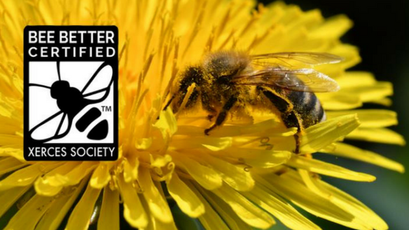 'Bee Better Certified' could help with pollinator-friendly choices ...